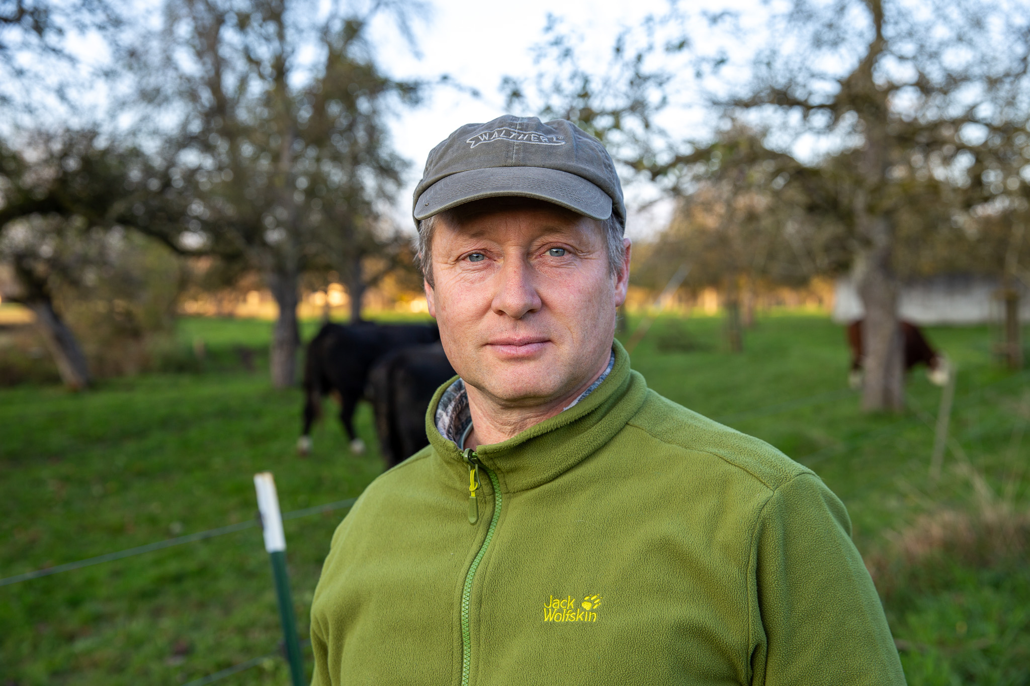 Thomas & Viola Hahn | Kaufnekuh